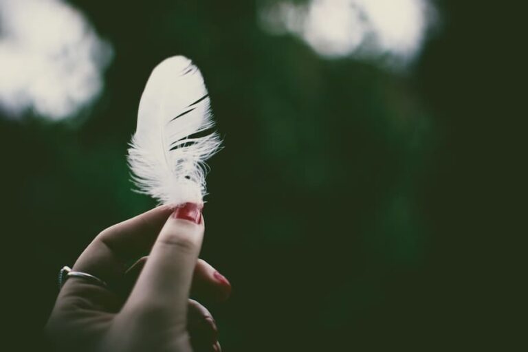 Finding a Feather: 9 Spiritual Meanings and Warnings