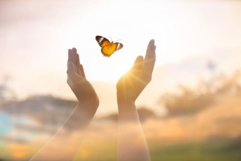 11 Spiritual Meanings Of Insects Around You (Are Special?)