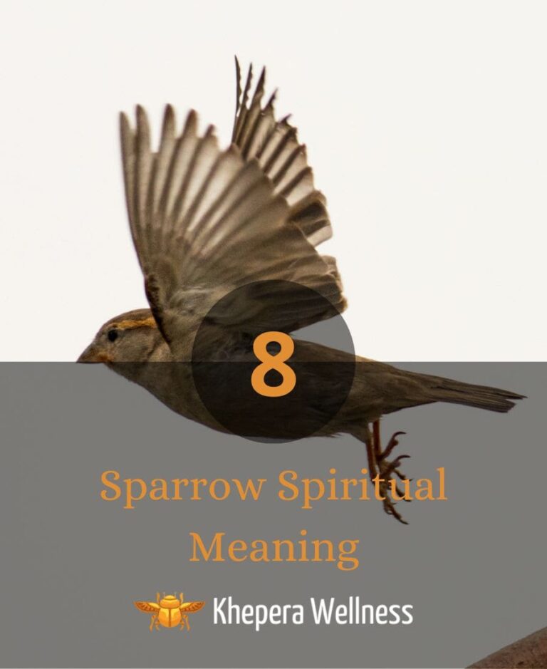 Sparrow Spiritual Meaning: 8 Reasons To Like These Birds